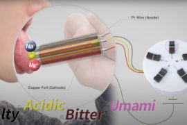 Researchers Unveil Norimaki Synthesizer, a Lickable Gadget That ...